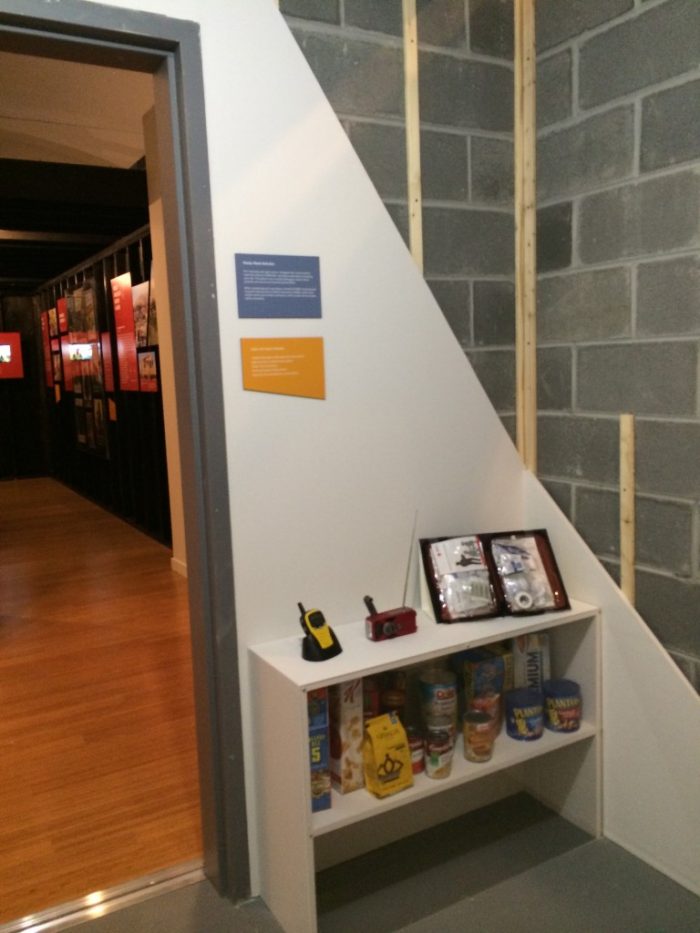 Designing for Disaster Showcases Disaster Preparedness, Mitigation ...