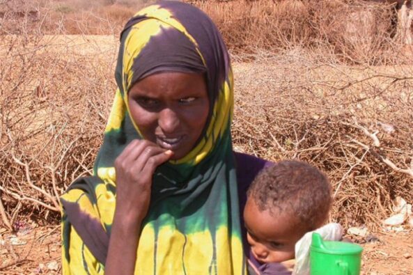 Disasters in Recovery - Center for Disaster Philanthropy