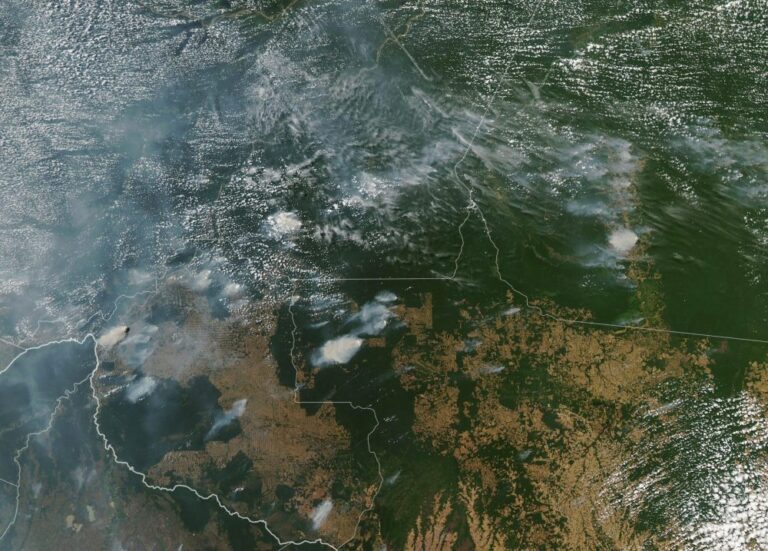 Amazon Wildfires - Center for Disaster Philanthropy