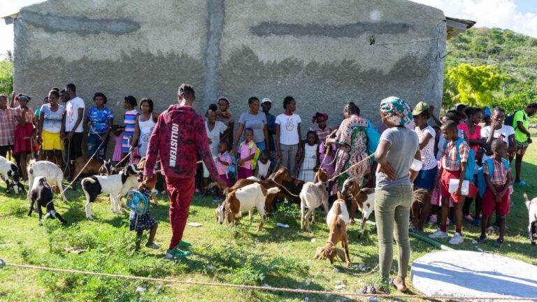 Earthquake recovery and resilience in Grand Sud, Haiti - Center for ...