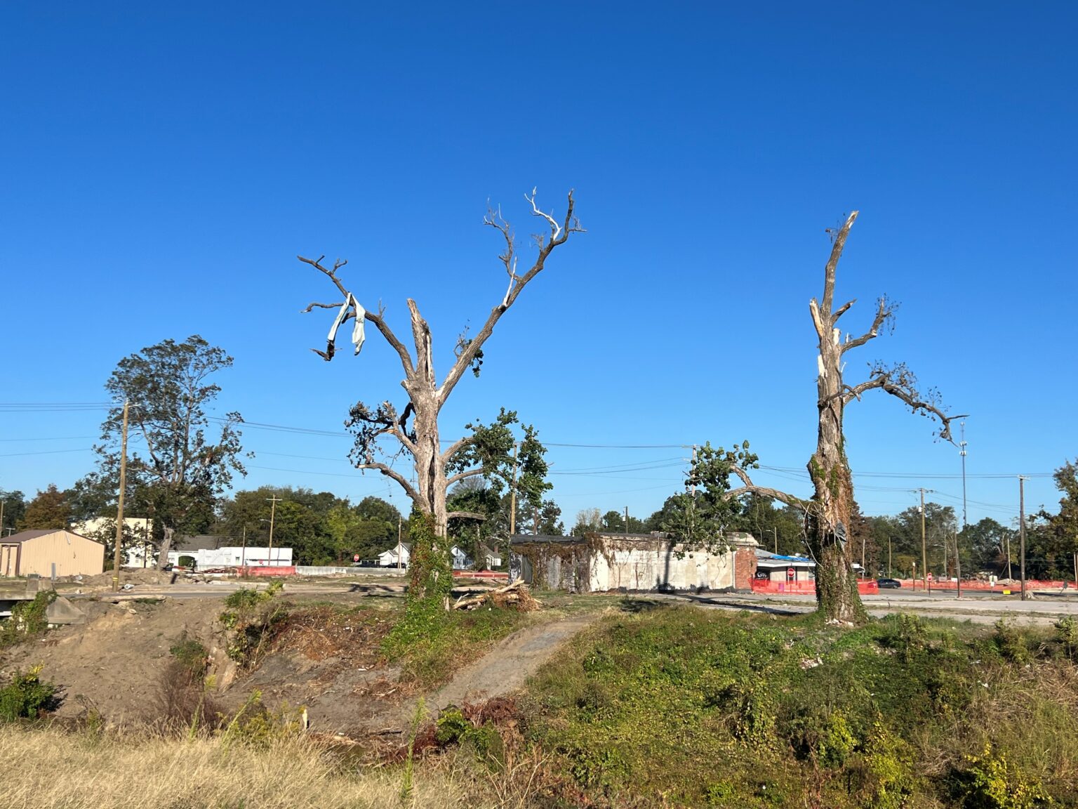 Building resilience after disasters: Insights from a trip to Mississippi