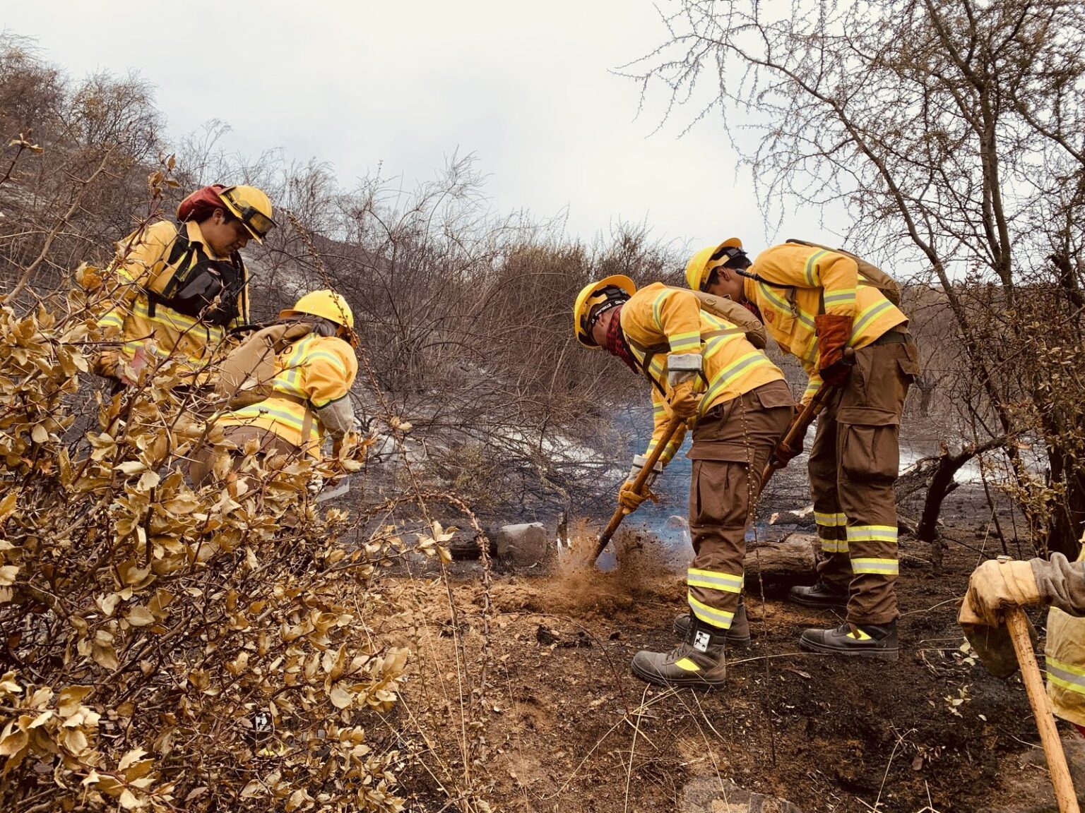 2024 Chile Wildfires - Center for Disaster Philanthropy