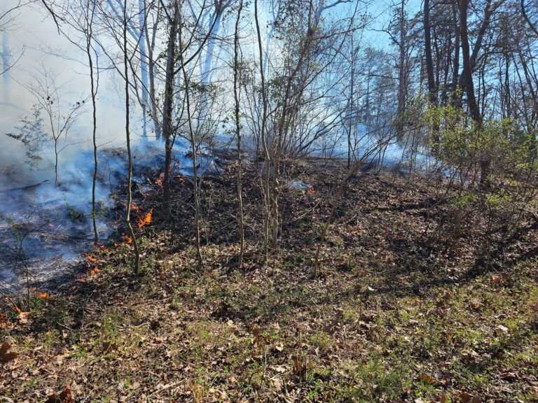 2024 US Tornadoes - Center for Disaster Philanthropy