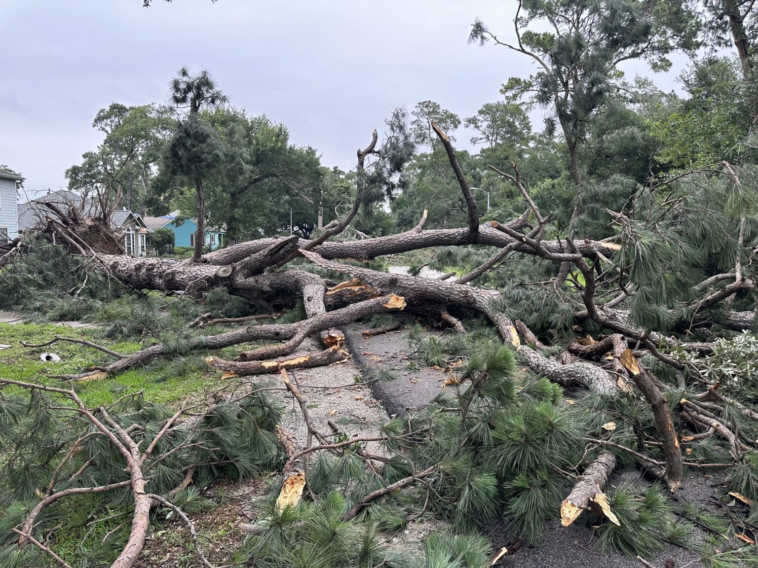 2024 East Africa Flooding and Cyclones - Center for Disaster Philanthropy