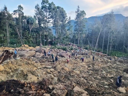 Papua New Guinea landslide: A call for support - CDP