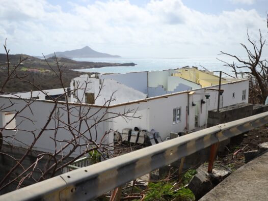 Nicole Behnam - Center for Disaster Philanthropy