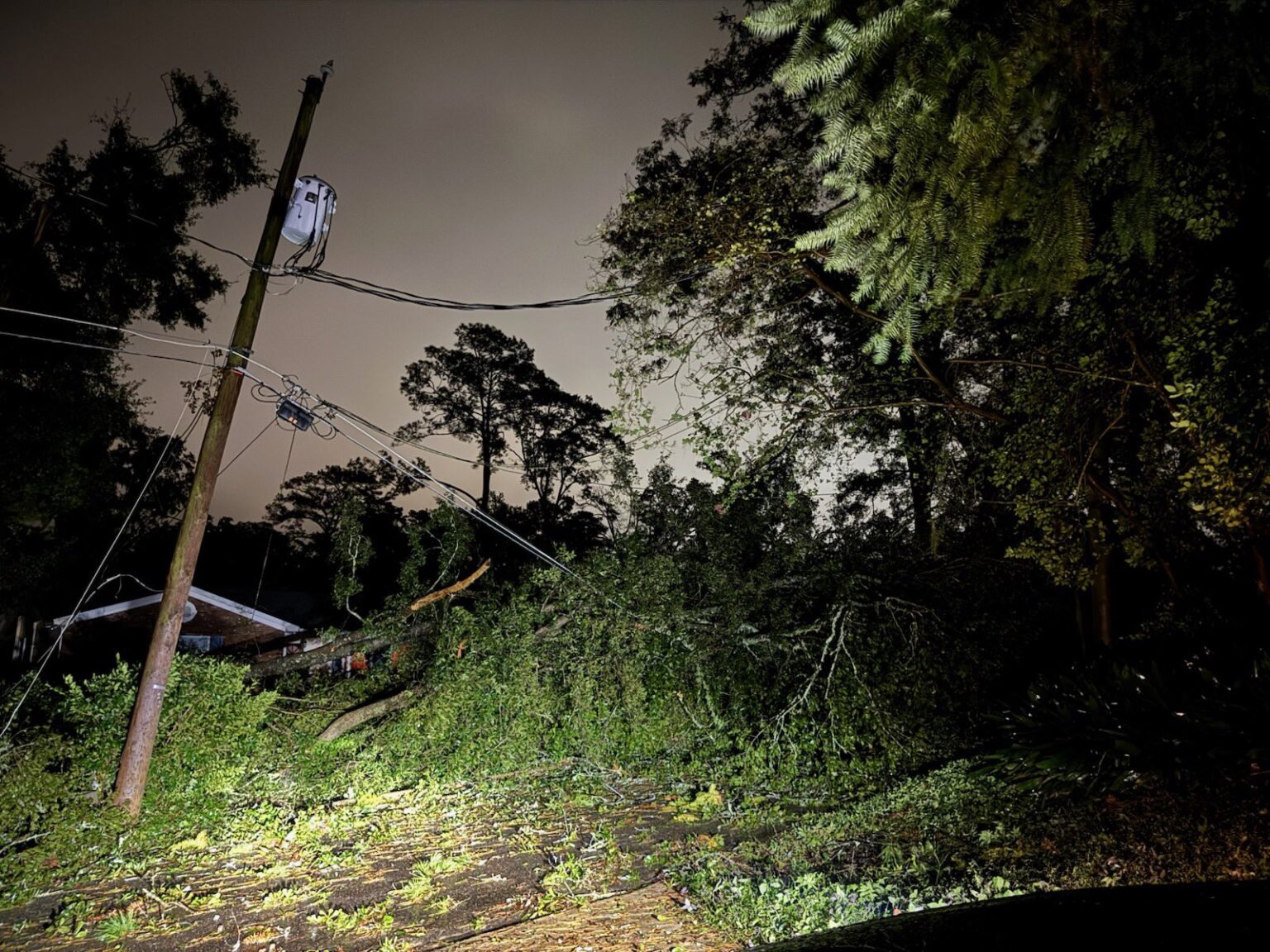 Hurricane Helene: Strongest hurricane of 2024 makes landfall - CDP