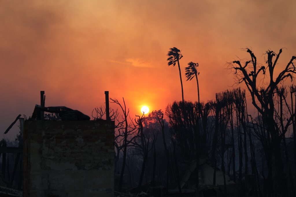 2025 North American Wildfires - Center for Disaster Philanthropy
