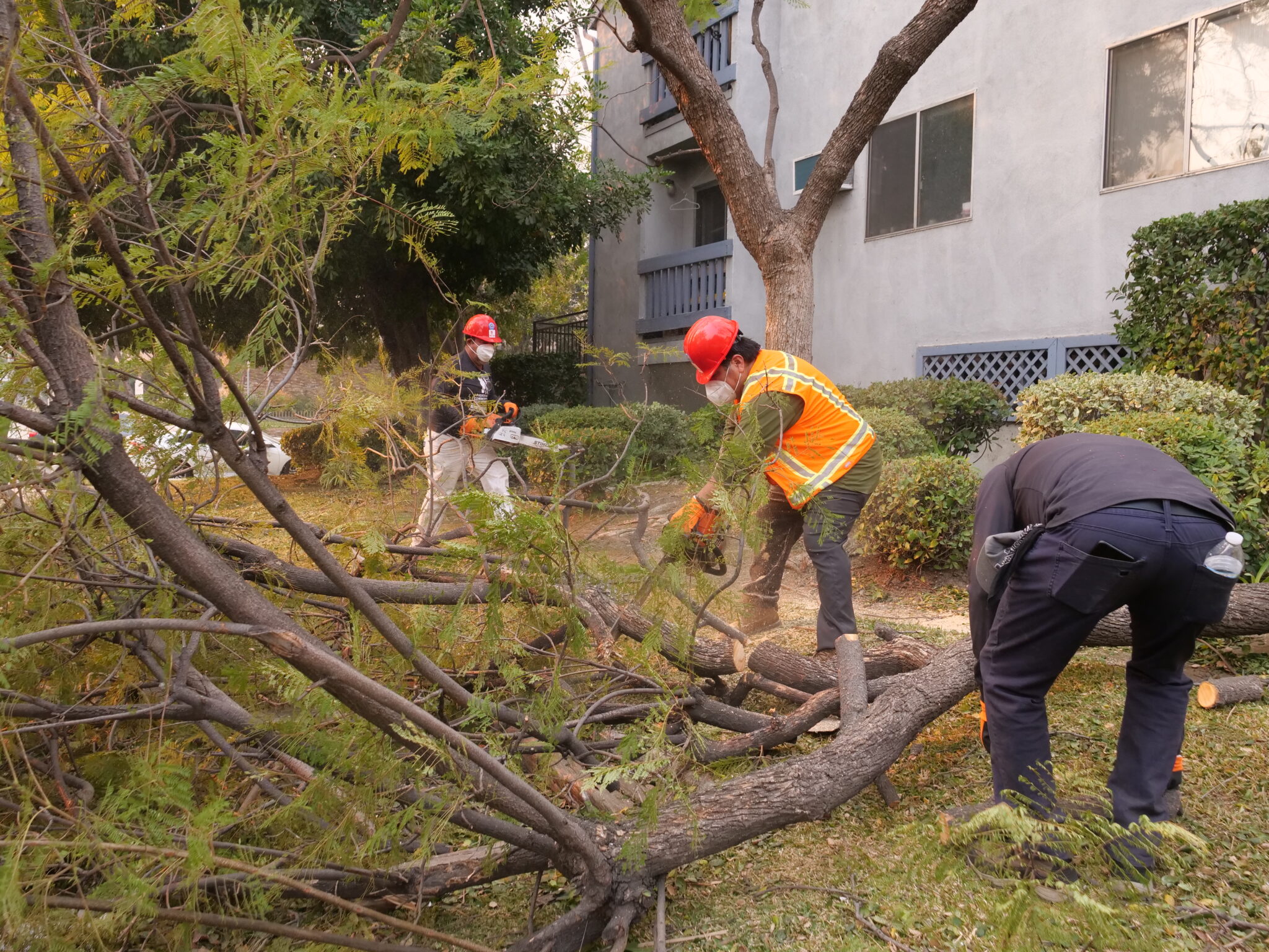 Announcing $1.56 million in grants to support Los Angeles wildfire ...